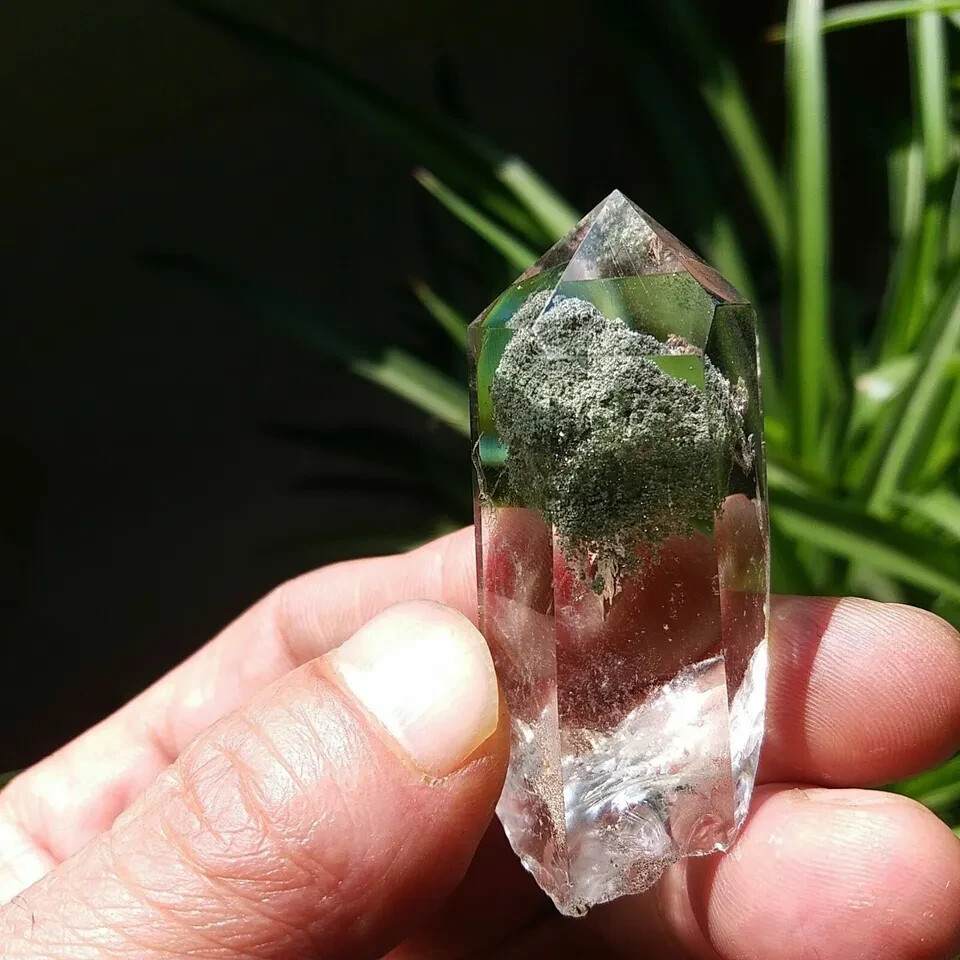 33.5g Rare Natural Green Garden Quartz Crystal Single Point healing D56 ...