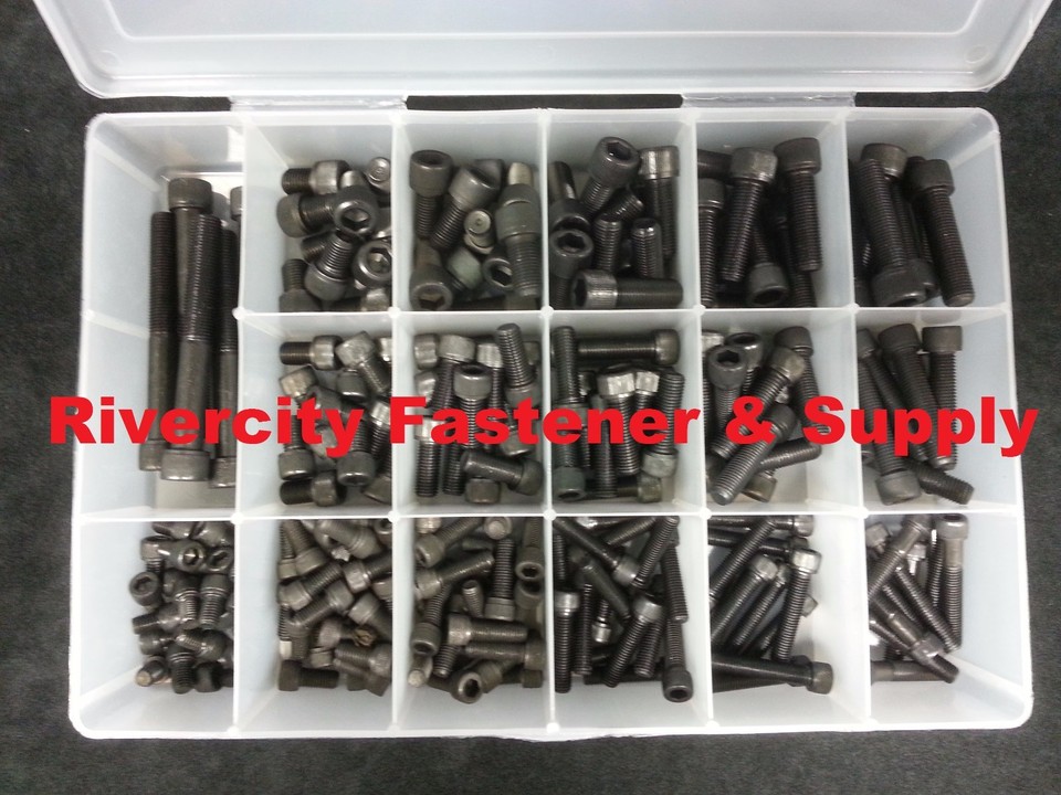 FINE THREAD ALLEN / SOCKET HEAD CAP SCREW / ASSORTMENT | eBay