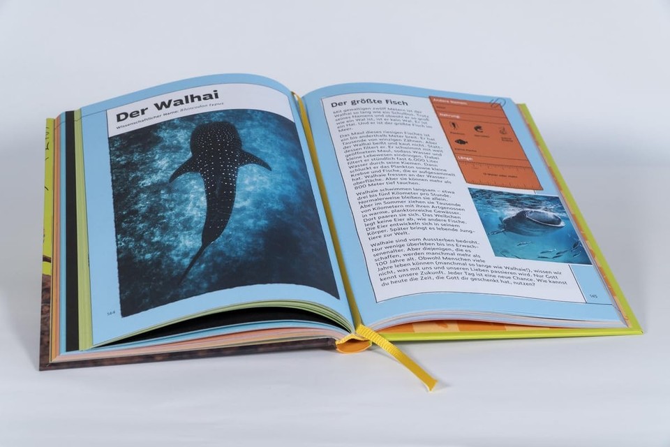 Anke Becker Ann Tierisch gute Momente mit Gott: 52 Andach (Hardback) (UK IMPORT) | eBay