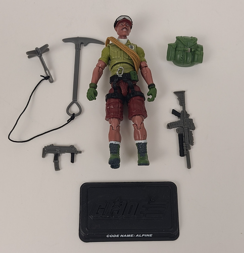 GI Joe Alpine Collectors Club Exclusive Action Figure FSS 3-08 Loose ...