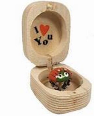 New ONE BOX Hand-made Pencil Sharpener Bug in Box Insect Hand-Paint ...