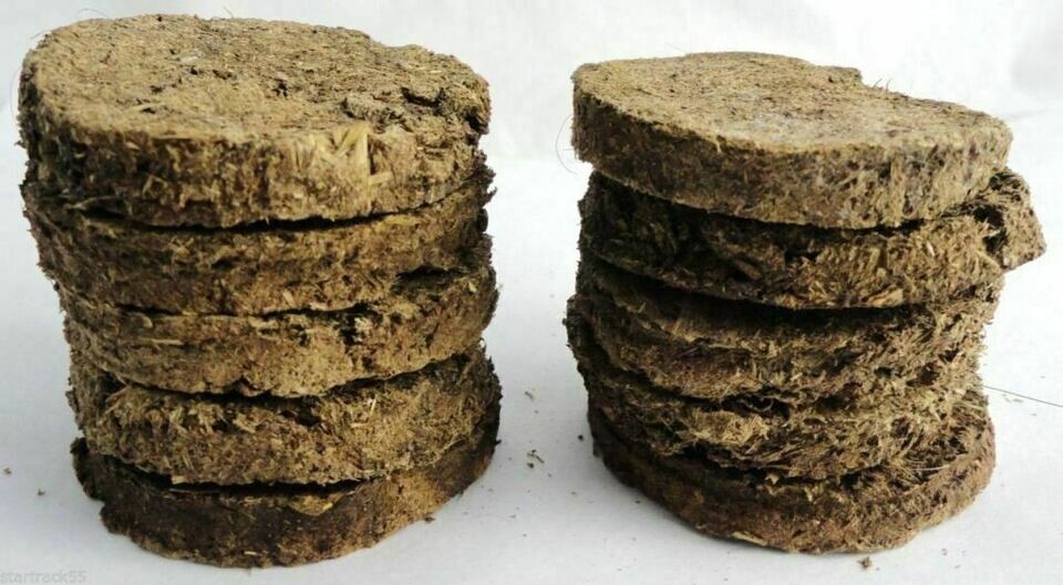 Cow Dung Cake Organic Gobar Upla For Pooja Havan Agnihotra Set Of 10 ...