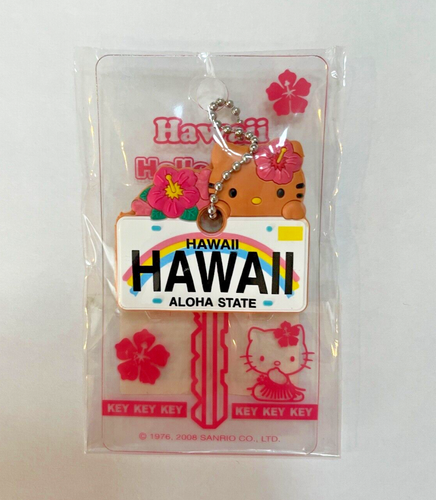 Sanrio Hawaii Hello Kitty key case cover Tanned Skin 2008 RARE | eBay