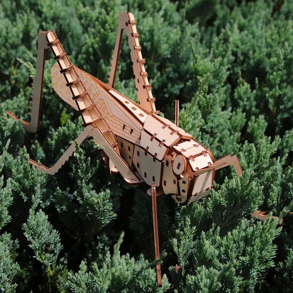 Tsukurun-desu® Japan Official Sales, Pocket Bugs, (Tonosama Grasshopper ...