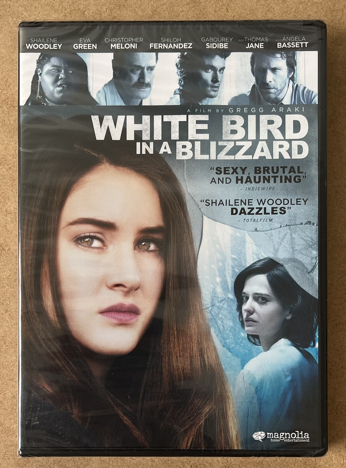 White Bird In A Blizzard Poster