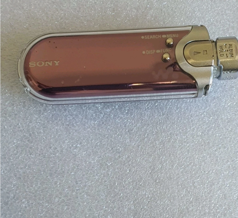 Sony Walkman NW-A607 metallic purple ( 1 GB ) Digital Media Player | eBay