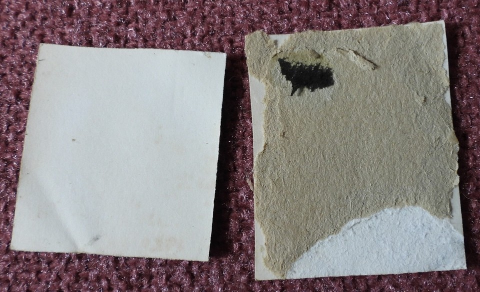 Vtg 1950s 1960s Tiny Snapshot PHOTOS Brunette Risque Motel Room Pinup ...