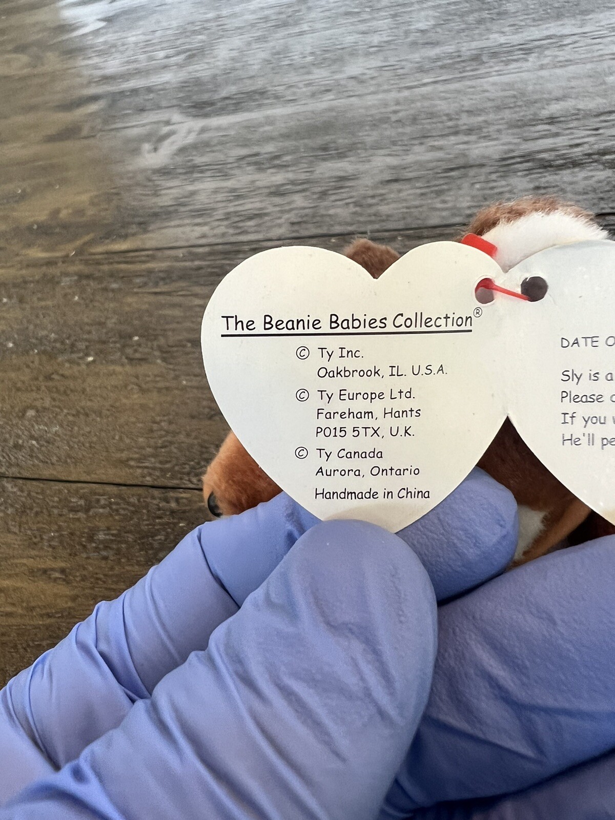 Ty Beanie Baby Sly RARE. tag ERRORS | eBay