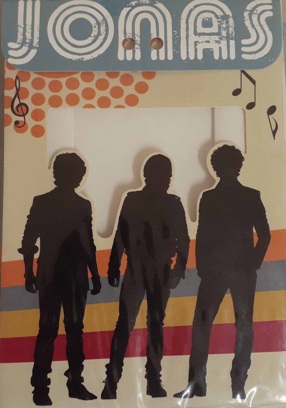 Jonas Brothers Favour Bags Packet of 4 Loot Treat Bags Birthday Party ...