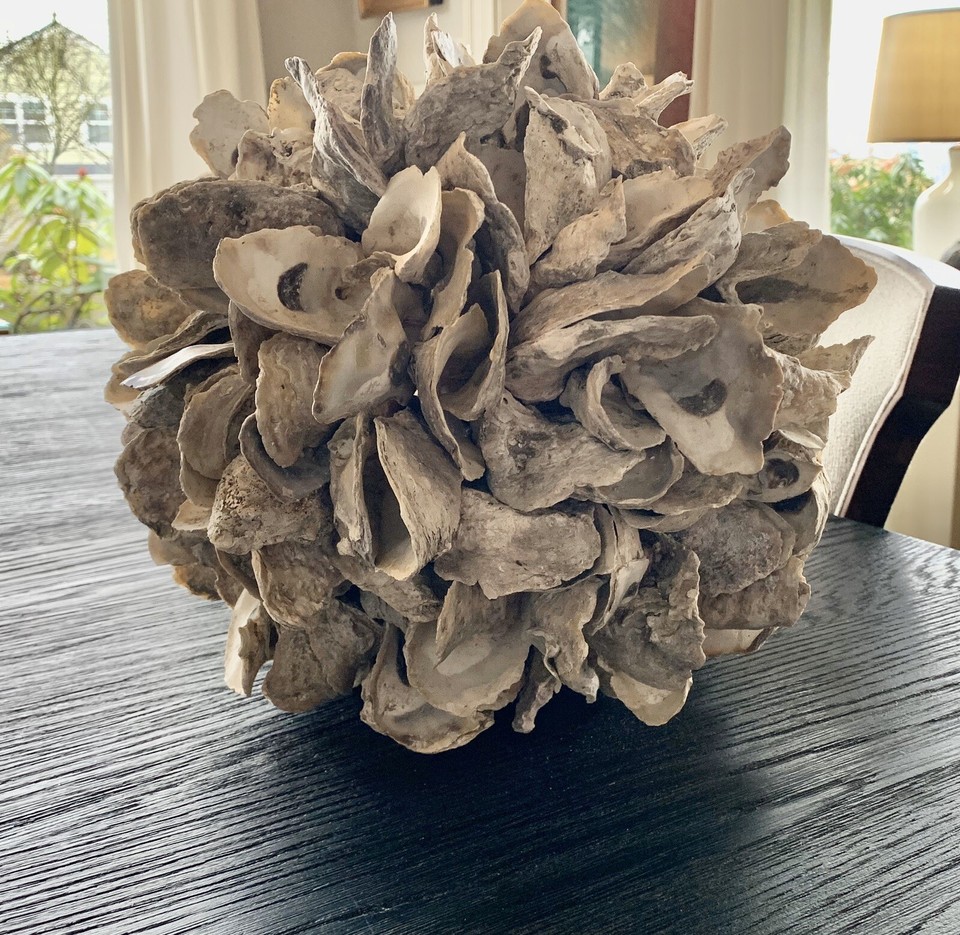 Oyster Shell Sculpture Vintage Folk Art OOAK Large 12” | eBay