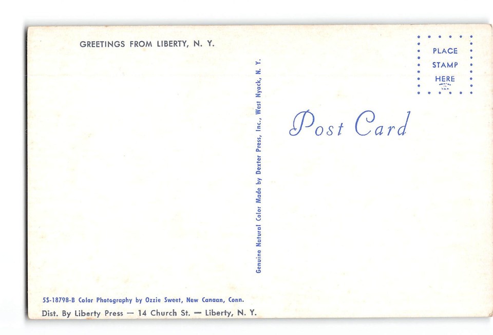 Liberty New York NY Vintage Postcard Deer Hunting Draw That Bow | eBay