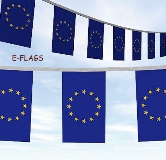 10 Metre 20 XL Flags EU Euro Europe European Union Party Bunting | eBay UK