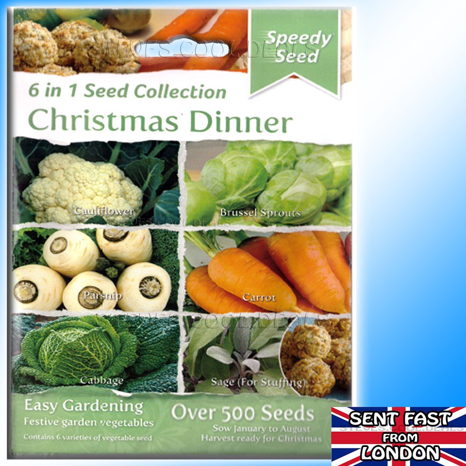 KITCHEN SALAD SEEDS BASIL ROCKET PLUM TOMATO RADISH ONION CHILLI ...