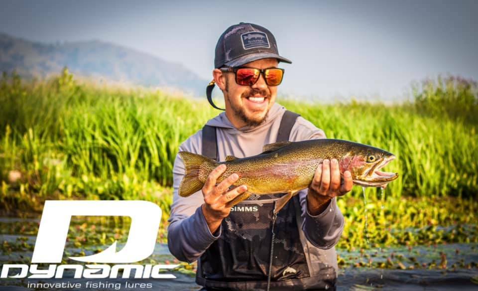 HD TROUT Crankbait, 2.25" Current Available Colors, by Dynamic Lures | eBay