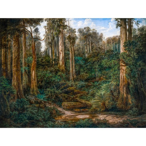 Isaac Whitehead, A Sassafras Gully, Gippsland, Canvas Print, 30" x 40 ...