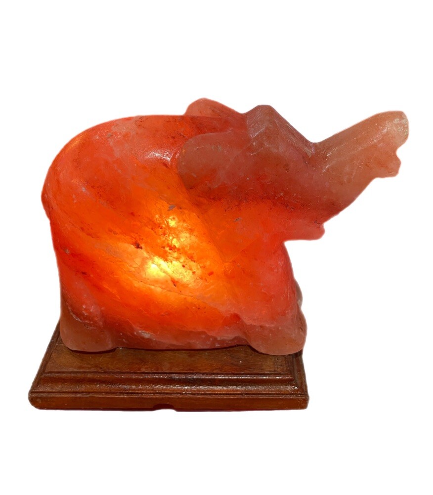 Himalayan Elephant Crystal Salt Lamp Natural Night Light Rock Health | eBay