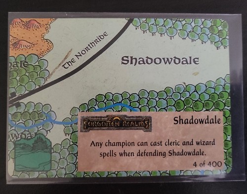 1994 TSR 3rd edition Spellfire: Master the Magic #4 Shadowdale | eBay