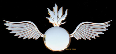 Aviation Ordnance Technician Mate AO Rating BADGE PIN US NAVY MARINES ...