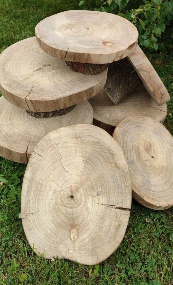 Wooden Slices LOCAL Wood CRAFTS 2-23cm Log Discs Round Wedding Rustic ...