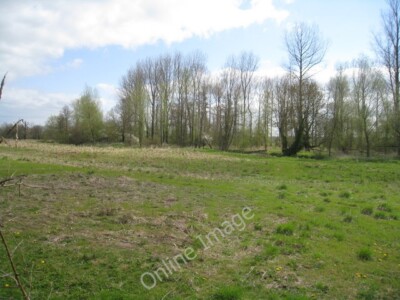 Photo 6x4 Trees along the River Enborne Wasing c2010 | eBay UK