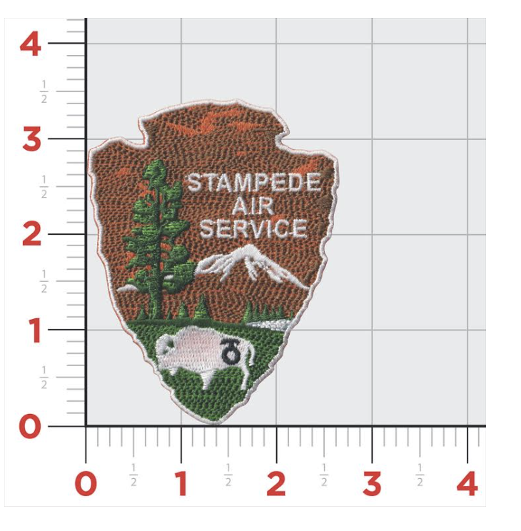 MARINE CORPS MCAS CAMP PENDLETON STAMPEDE AIR HOOK & LOOP EMBROIDERED PATCH | eBay