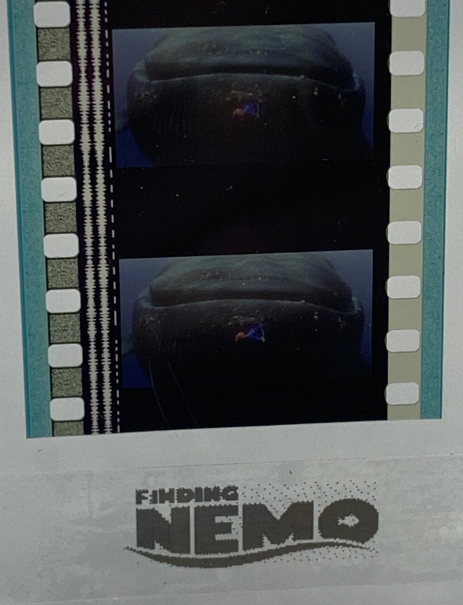 Finding Nemo Whale Scene