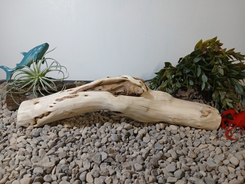 Driftwood aquarium fish & reptiles 4x14" natural basking log decor | eBay