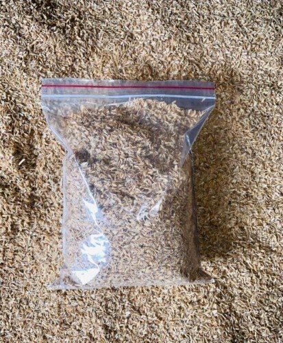 Rice Hulls Rice Husks Compost Hydroponic Growing Media Organic ...