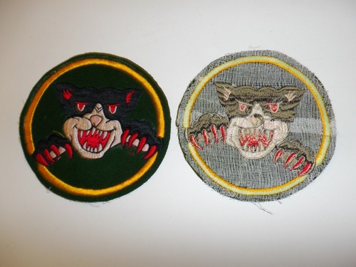 E2601 WW2 US Army Air Force 451 NFS Night Fighter Squadron 308th Bomb ...