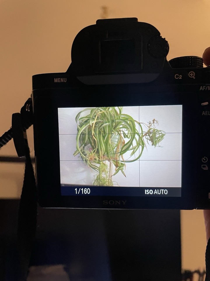 Sony A7 With M42 Lenses | eBay UK