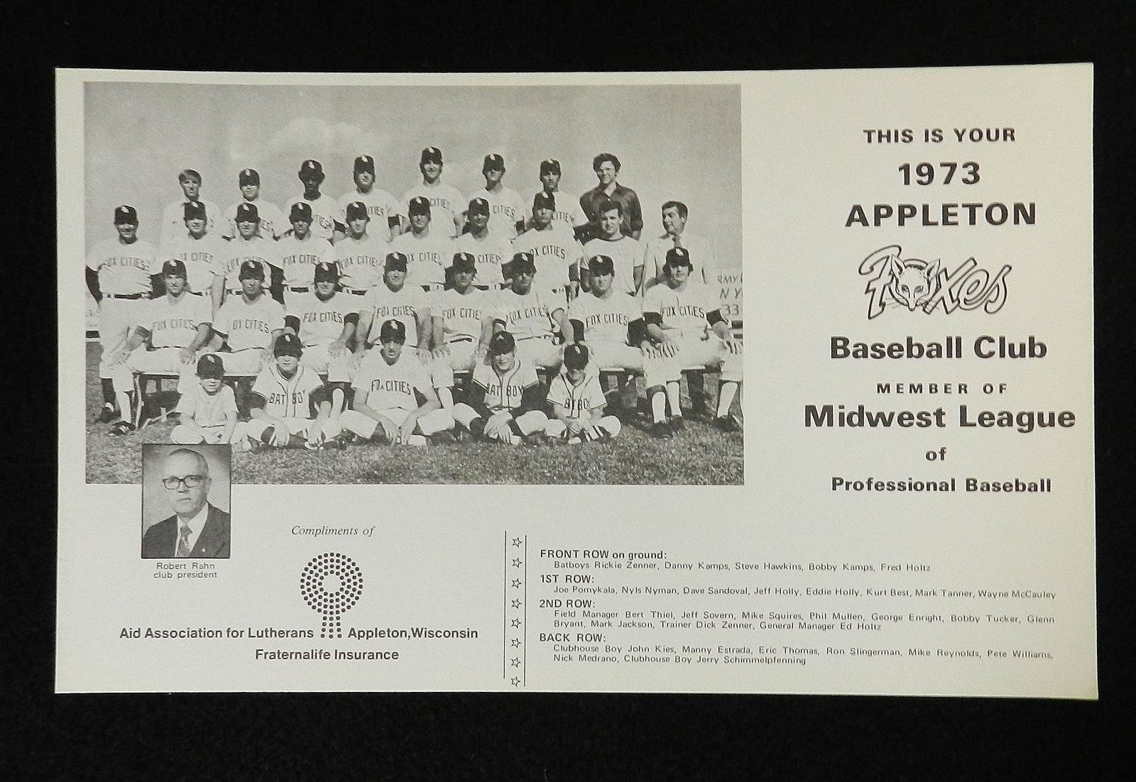 1973 APPLETON FOXES BASEBALL TEAM PHOTO ORIGINAL | eBay