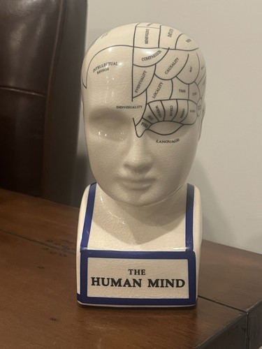 The Human Mind Ceramic Phrenology Brain Map Diagram Head Bust Sculpture ...