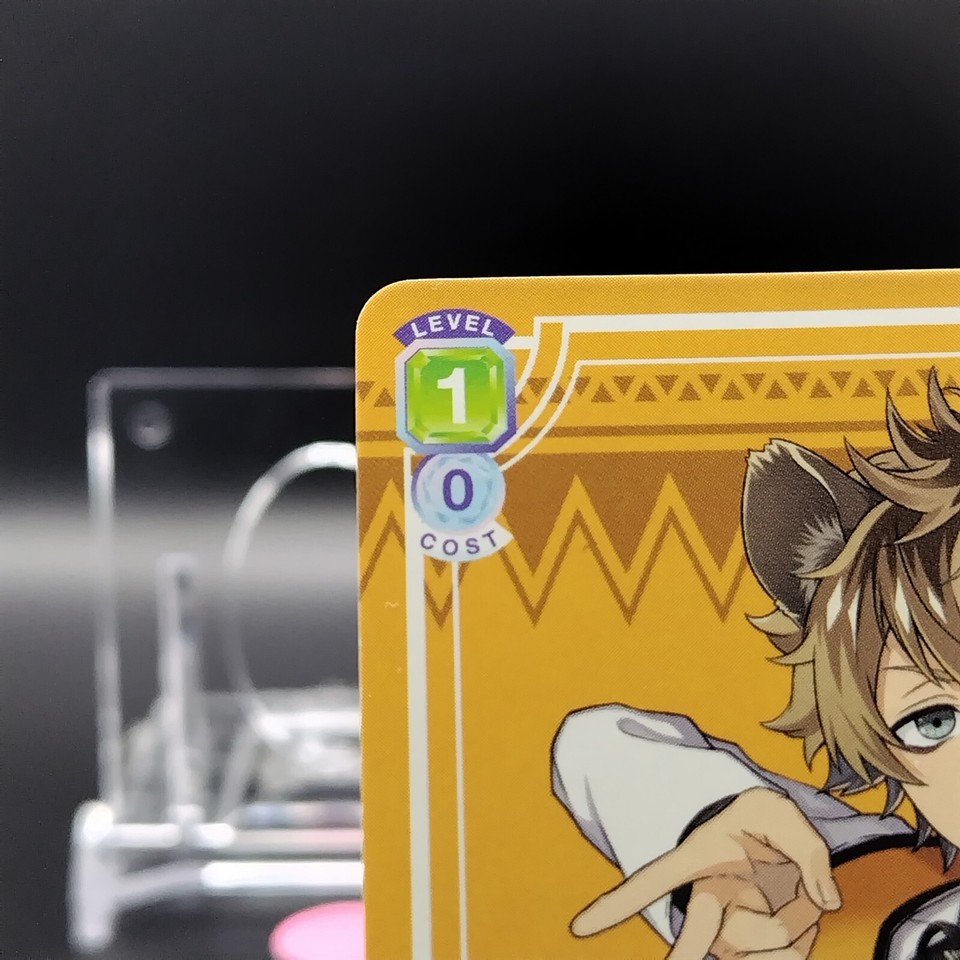 Ruggie Bucchi Bushiroad Twisted Wonderland Card N TCG Japanese TWST/01B-011 | eBay