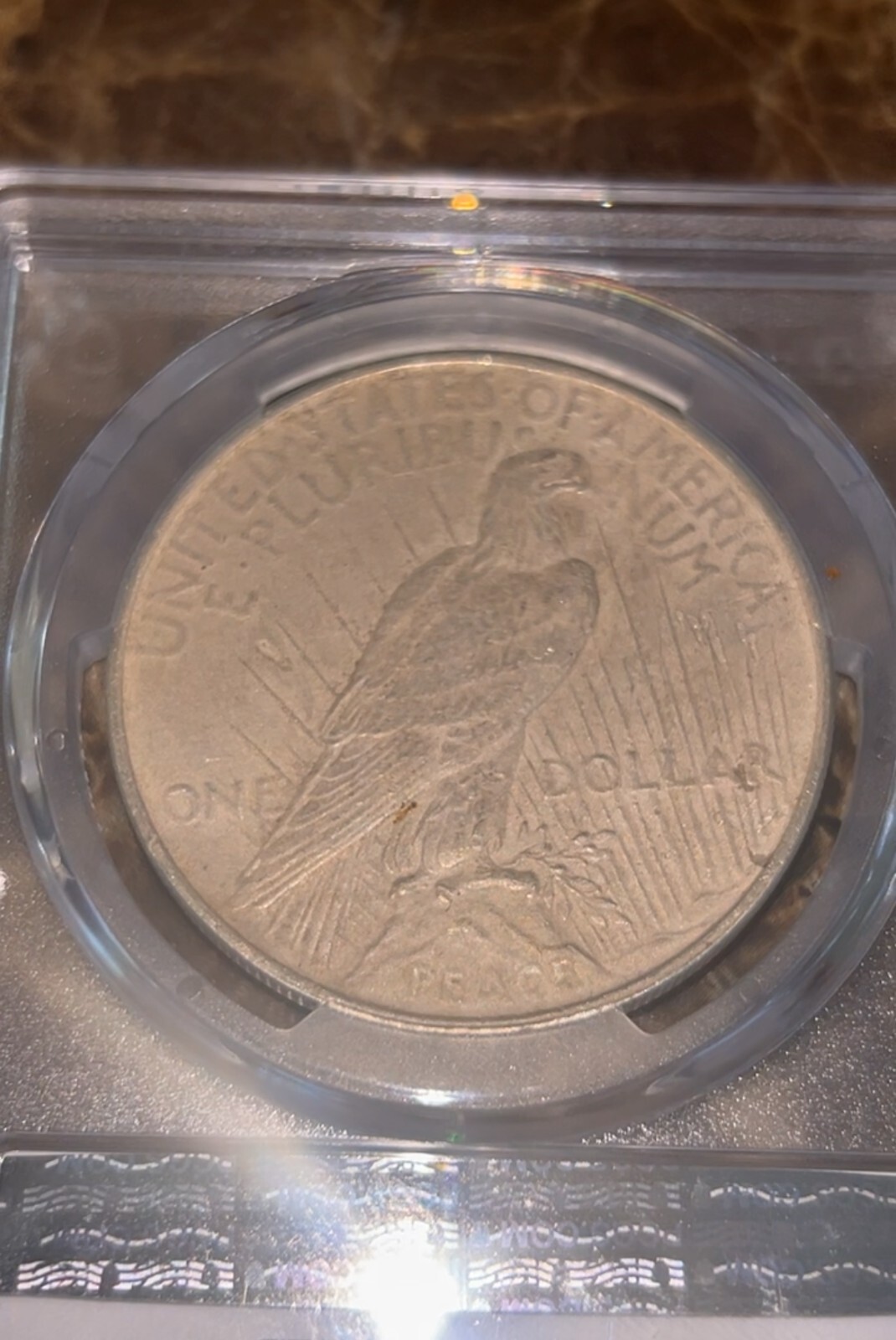 1922 Liberty Peace One Dollar Silver Coin US PCGS genuine | eBay