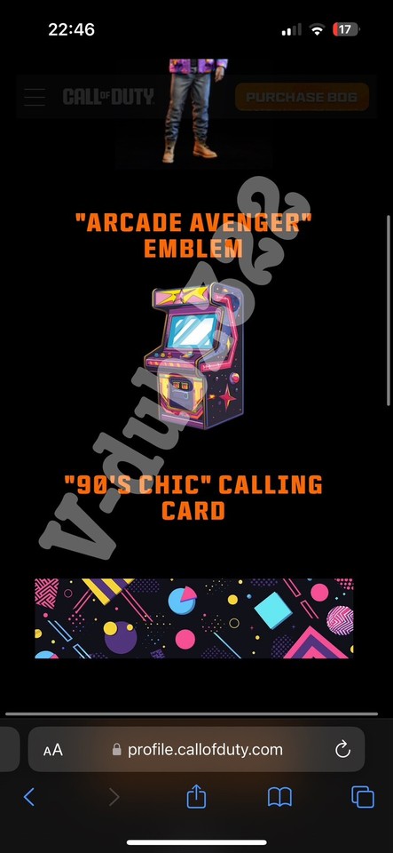 Call of Duty Black Ops 6 Hella Chill Bundle Operator Skin,Card, Charm ...