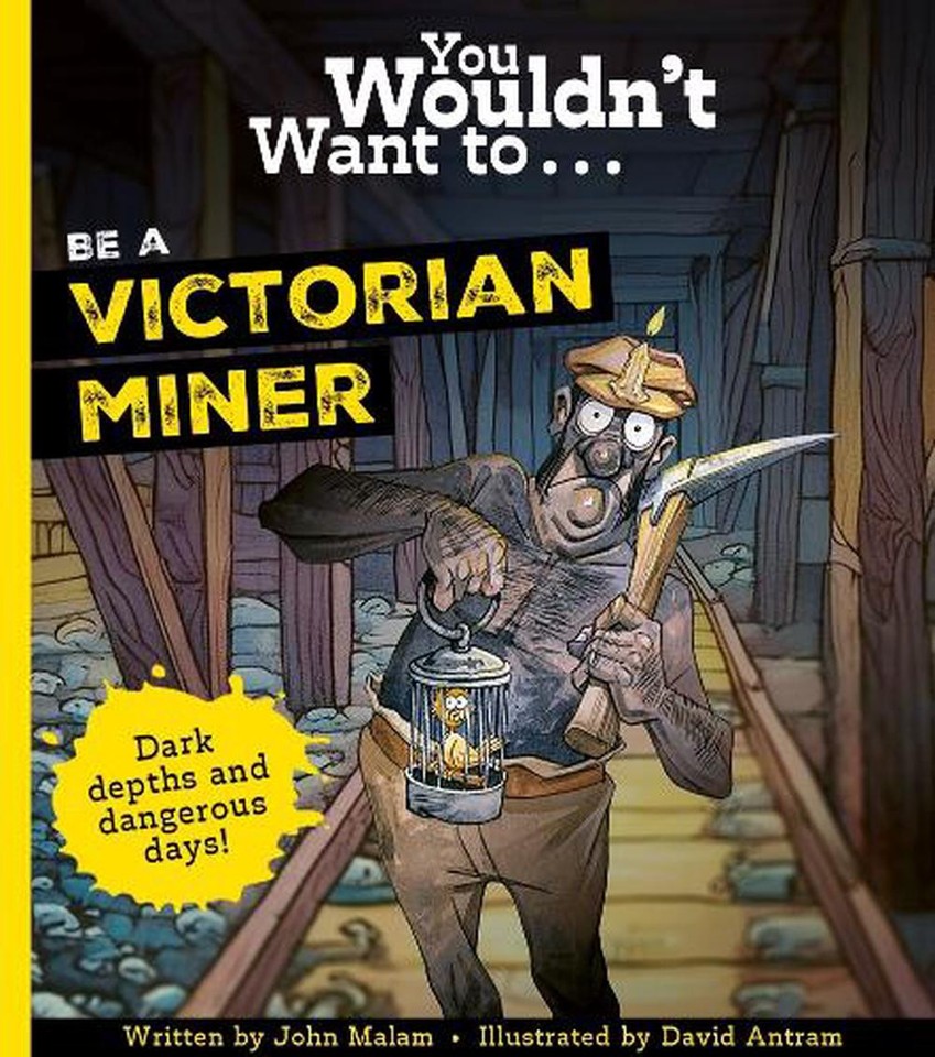 You Wouldn't Want To Be A Victorian Miner by John Malam Paperback Book ...