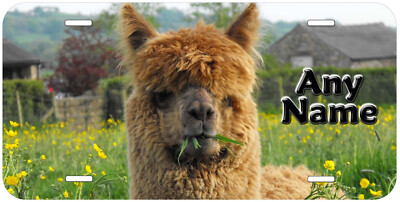 Alpaca Any Name Personalized Novelty Car License Plate | eBay