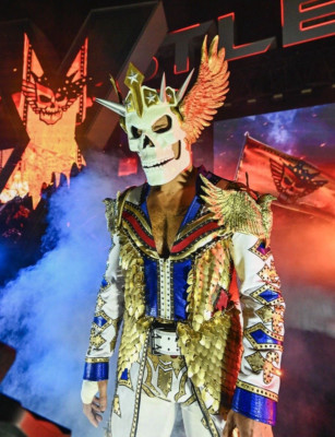 Cody Rhodes Photo 11x14 Poster Wrestlemania 40 AEW WWE NXT MASKED CODY ...