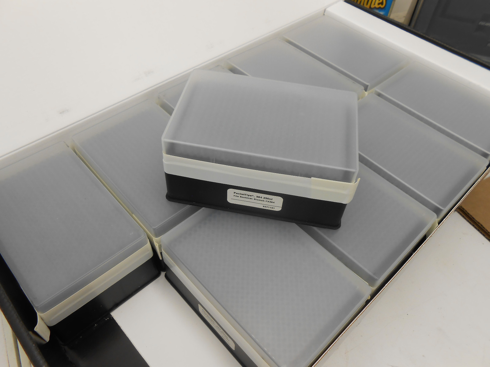 10 RACKS OF 384 TIPS OF THERMO SCIENTIFIC POCKET TIPS, FX384P30-250-LSE ...