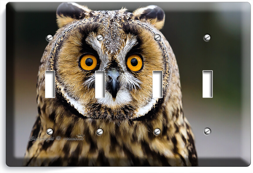 BEAUTIFUL EARED OWL WILD BIRD LIGHT SWITCH OUTLET WALL COVER PLATE ROOM ...
