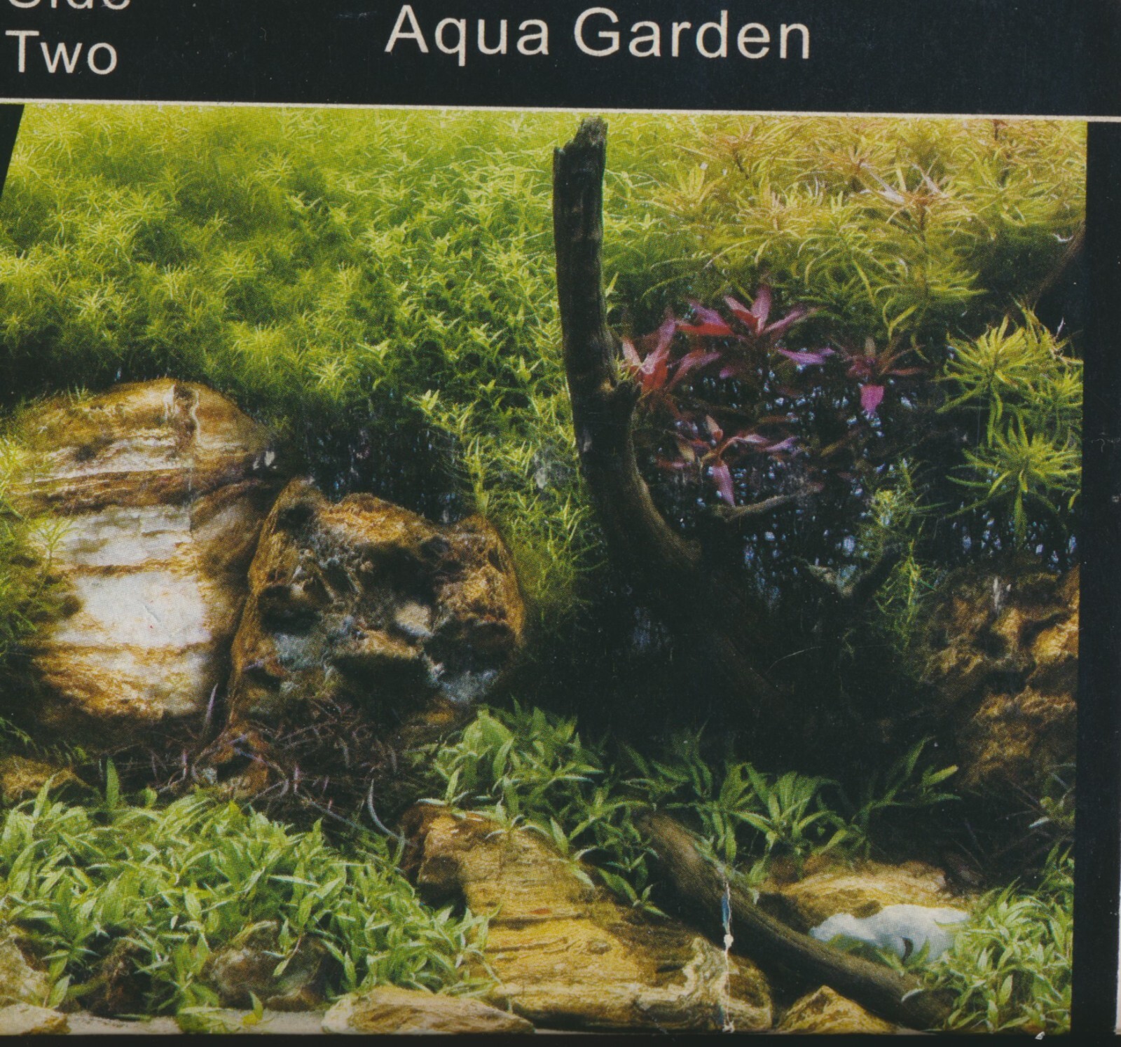 Seaview Brilliant Backgrounds Fish Tank Aquarium Double Sided ...