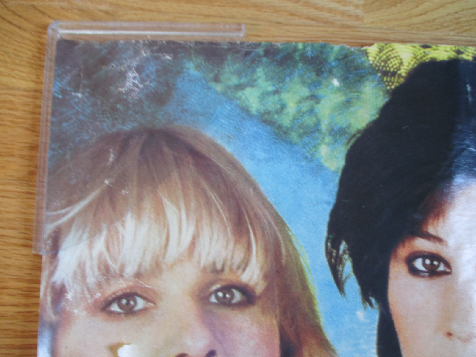 80s GO GO's Poster BELINDA CARLISLE Charlotte Caffey Gina Schock Kathy ...