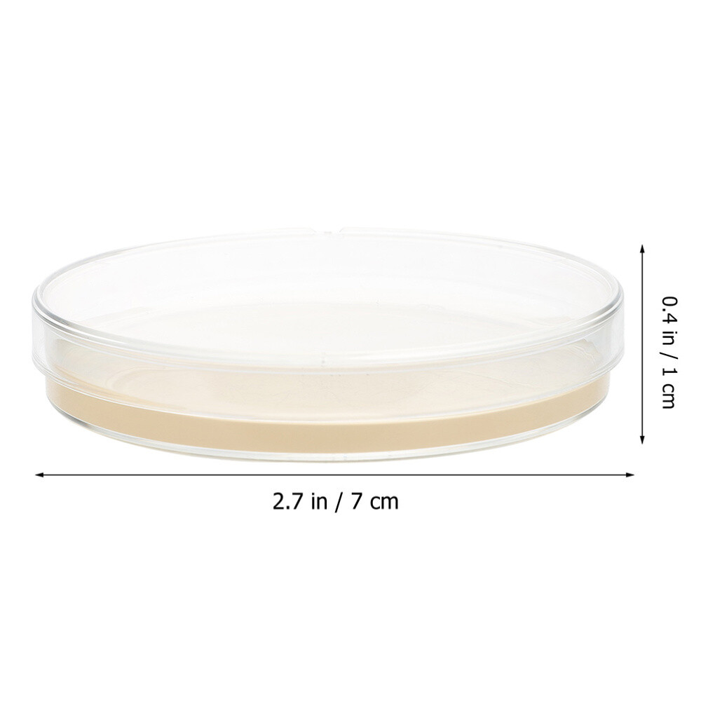 10 Pcs Prepoured Petri Plates Agar for Experiment Themed Child Flat ...