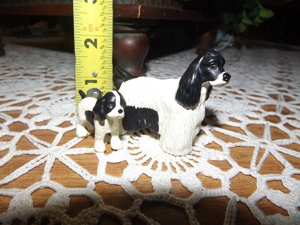 Baby Springer Spaniel