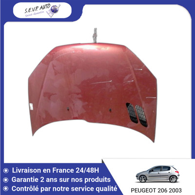 🇫🇷 CAPOT PEUGEOT 206 3P 7901K1 ♻️ | eBay