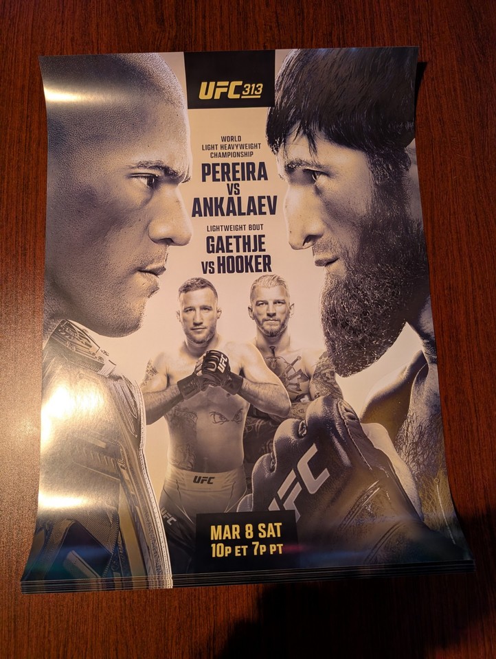18x24 UFC 313 Promotional Poster | eBay