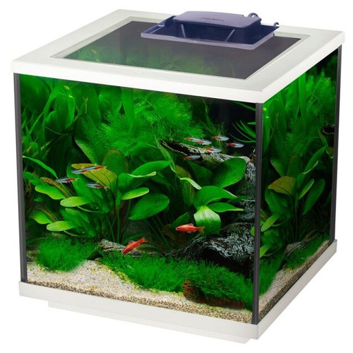 Interpet Aqua Cube 28L Aquarium LED Lighting Filter White Nano Small ...