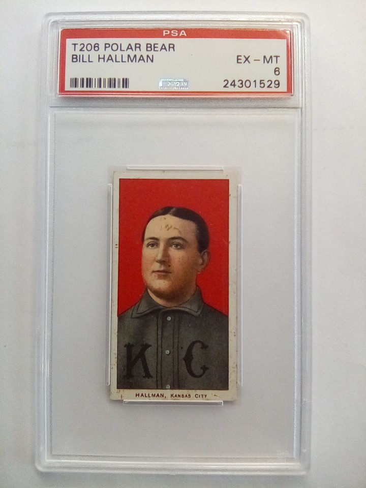 1909-11 T206 Bill HALLMAN POLAR BEAR PSA 6 PSA Pop 2 None Higher | eBay