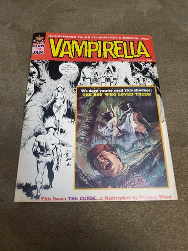 Vampirella #9 Magazine 1971 Warren Publishing Cover Borris Vallejo ...