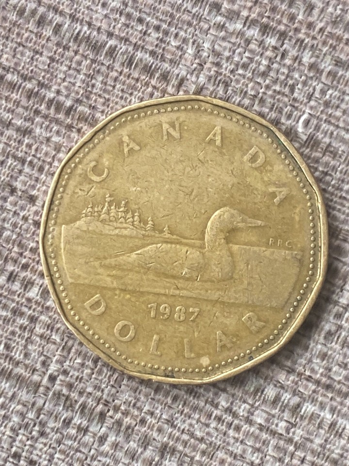 RARE ERROR 1987 Canada $1.00 loonie First Year Dollar coin Double Head ...